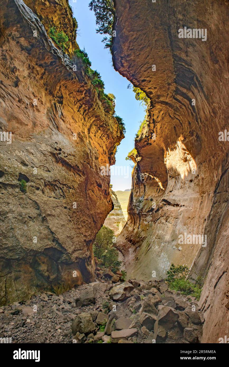 South Africa, Free State, Maloti-Drakensberg Park (UNESCO World ...