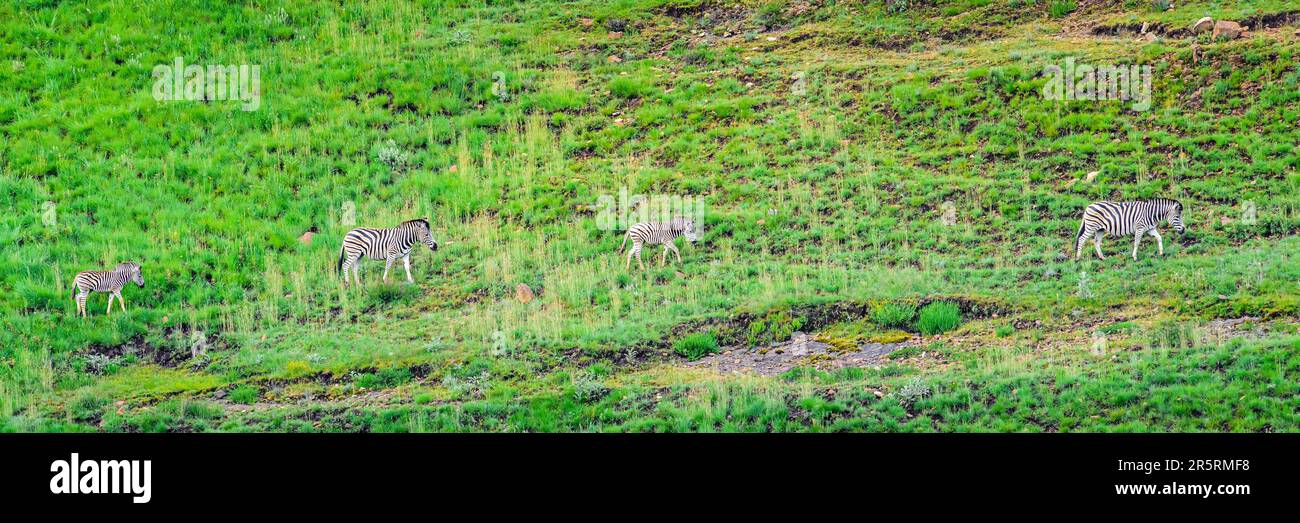 South Africa, Free State, Maloti-Drakensberg Park (UNESCO World ...