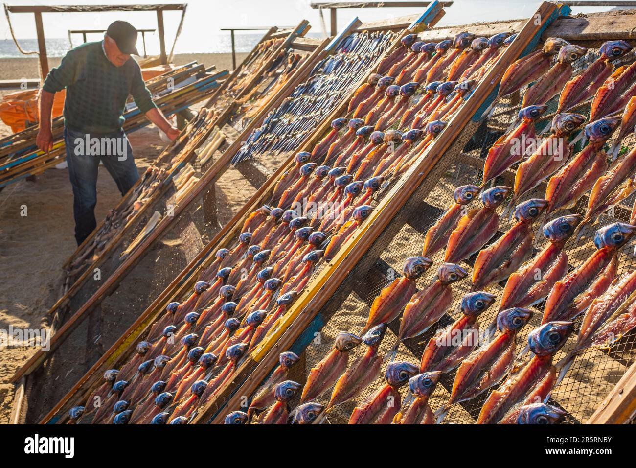 Portugal, Central region, Nazaré searesort, Dry Fish Museum, living ...