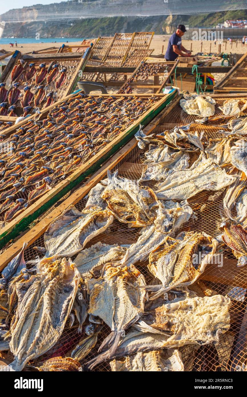Portugal, Central region, Nazaré searesort, Dry Fish Museum, living ...