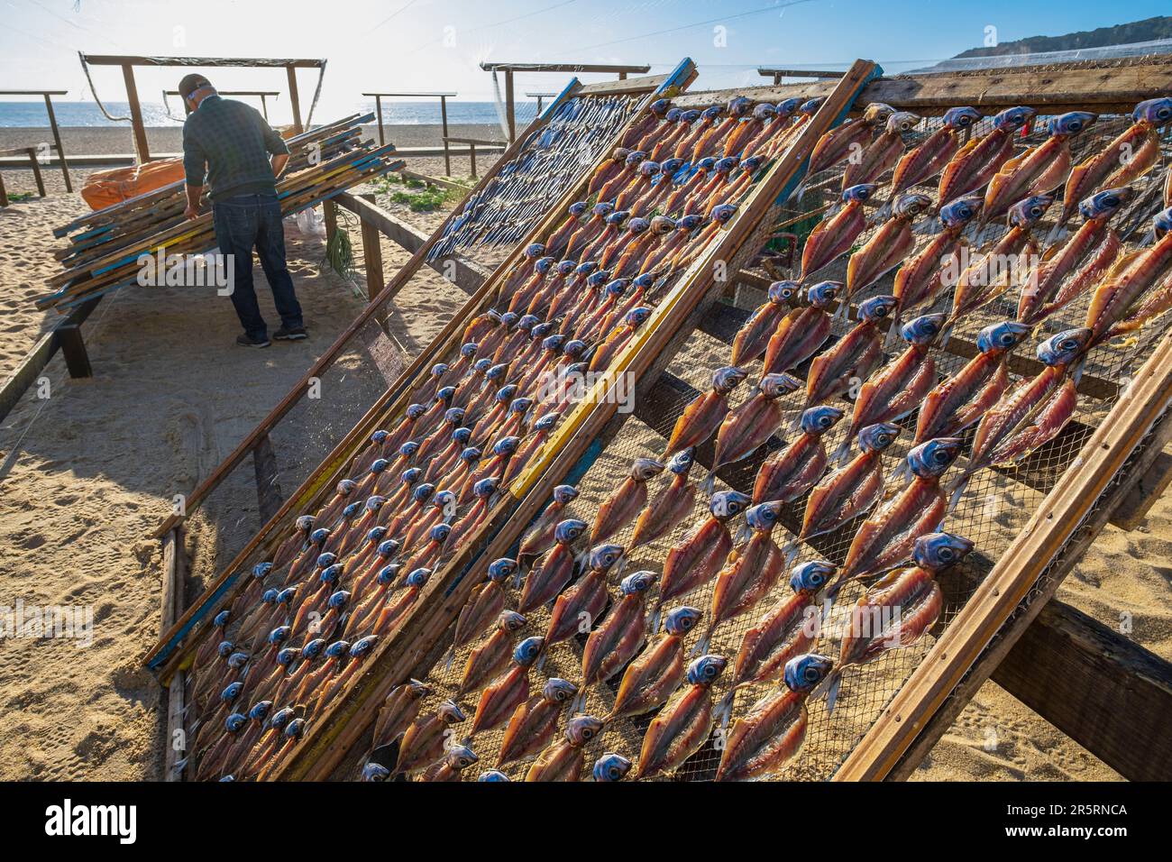 Portugal, Central region, Nazaré searesort, Dry Fish Museum, living ...