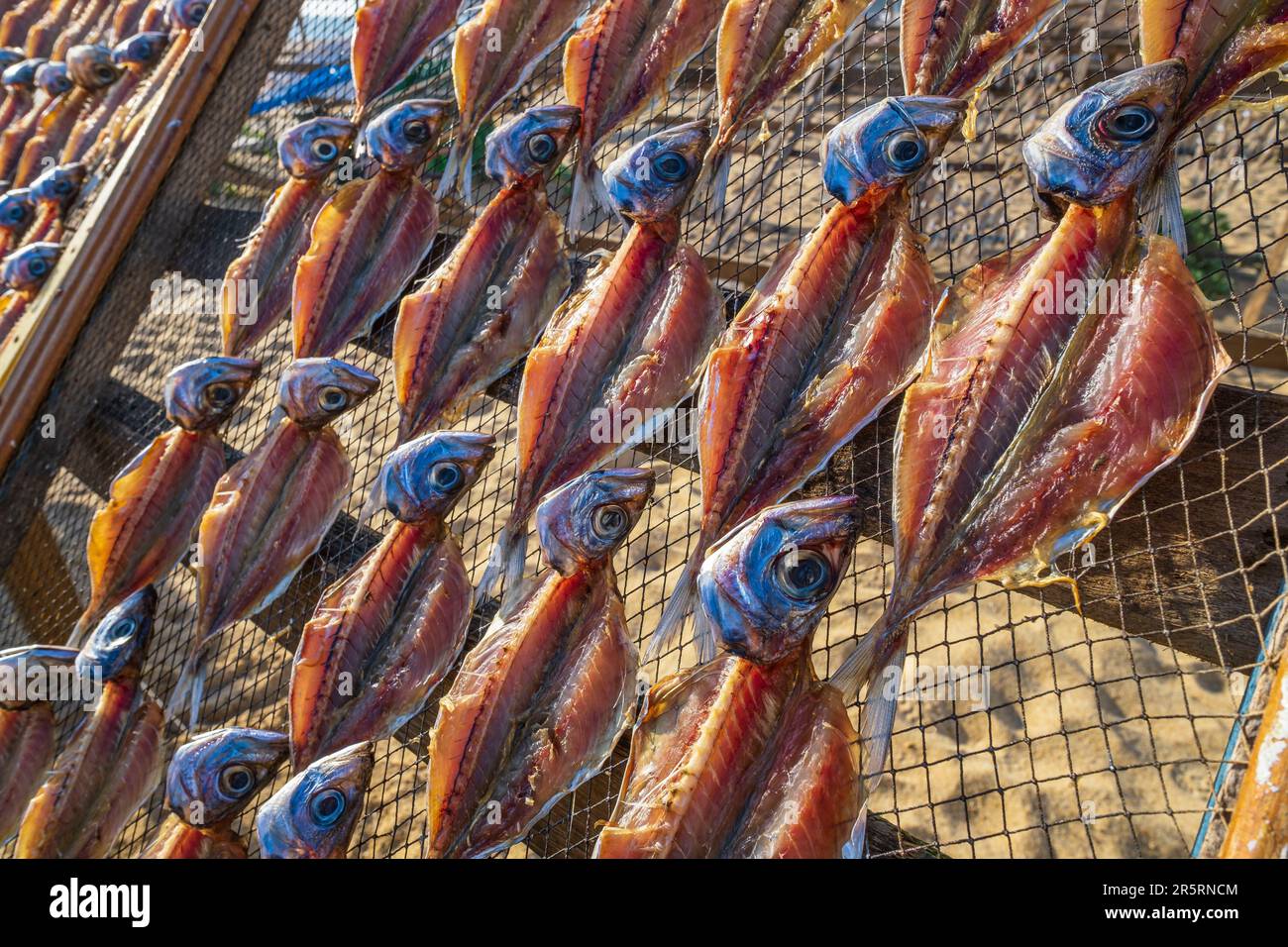 Portugal, Central region, Nazaré searesort, Dry Fish Museum, living ...