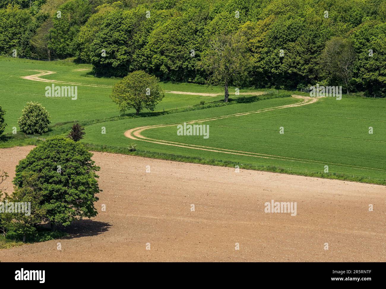Cissbury Ring - West Sussex UK Stock Photo - Alamy