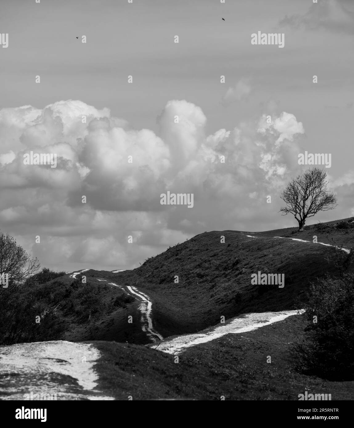 Cissbury Ring - West Sussex UK Stock Photo - Alamy