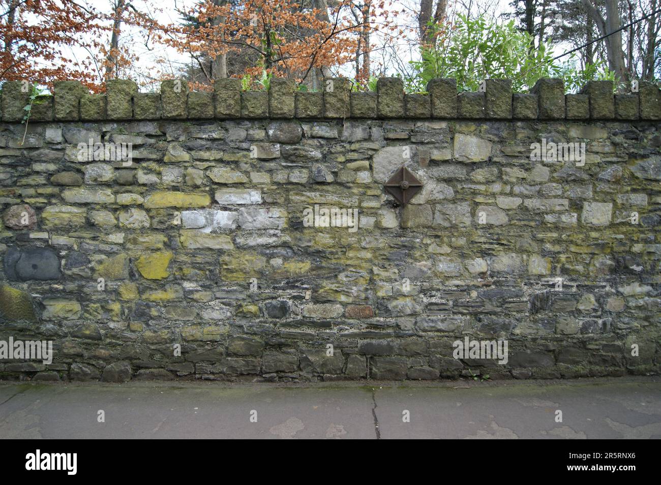 Old vintage fence material hi-res stock photography and images - Alamy