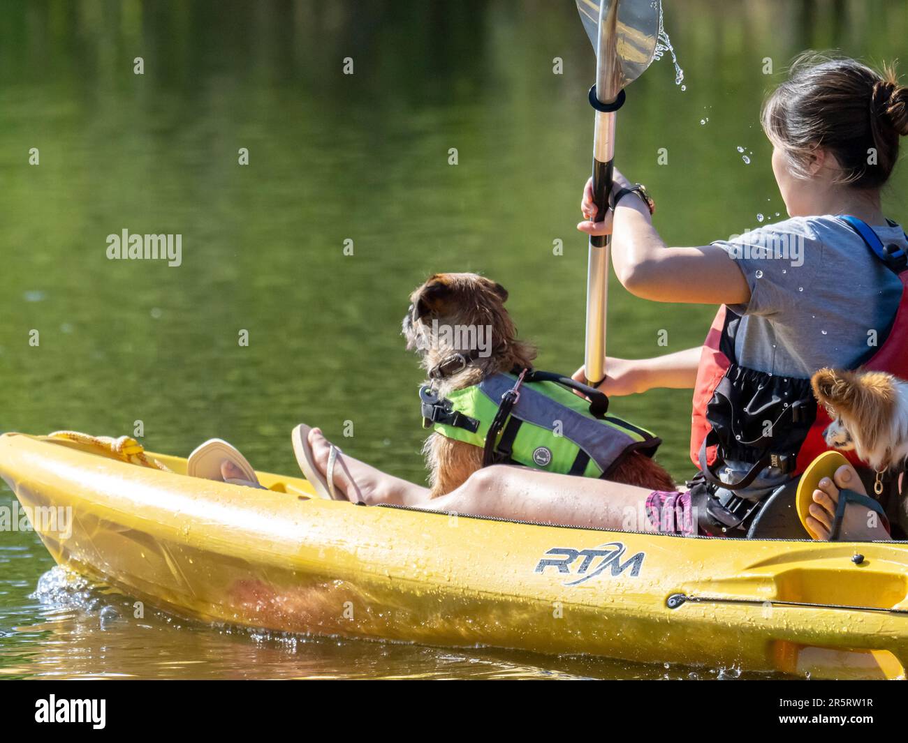 Women in a kayak with dogs onboard on Lake Winderrmere in Ambleside in ...