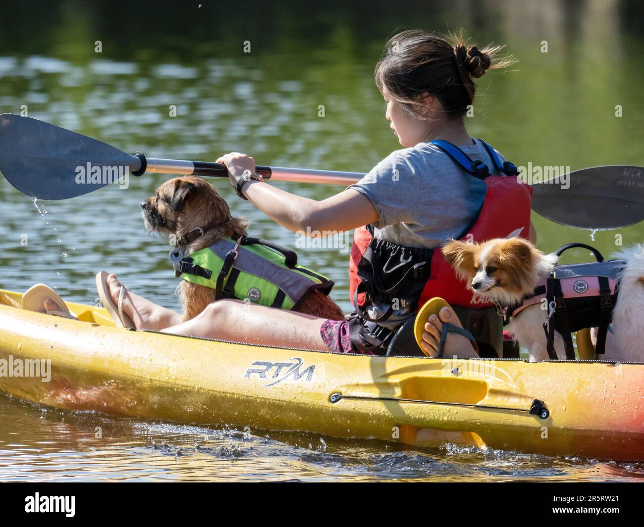 Women in a kayak with dogs onboard on Lake Winderrmere in Ambleside in ...
