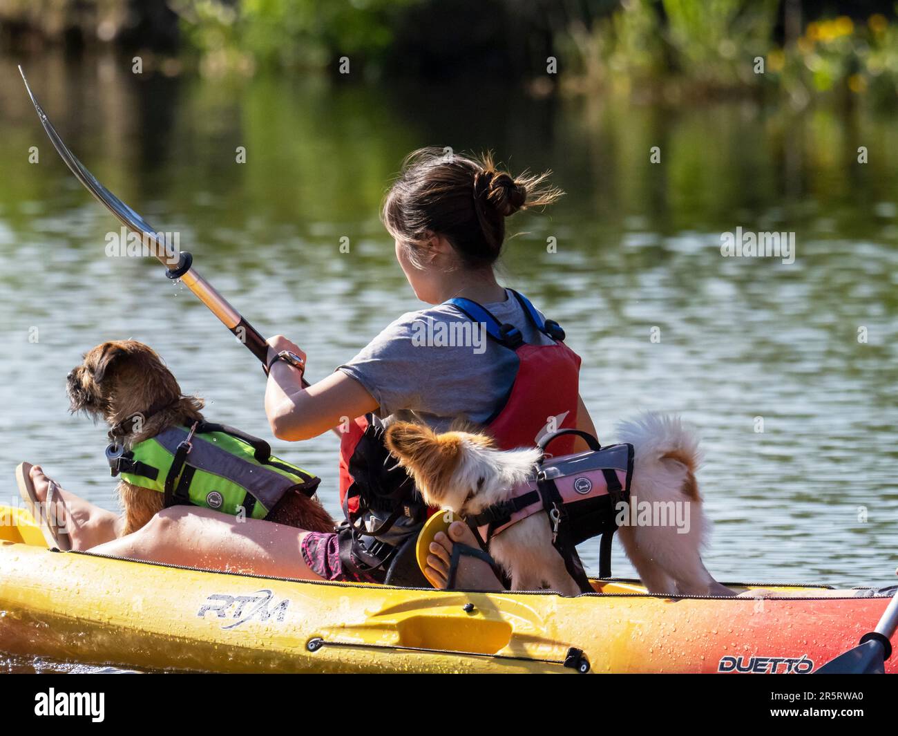 Women in a kayak with dogs onboard on Lake Winderrmere in Ambleside in ...