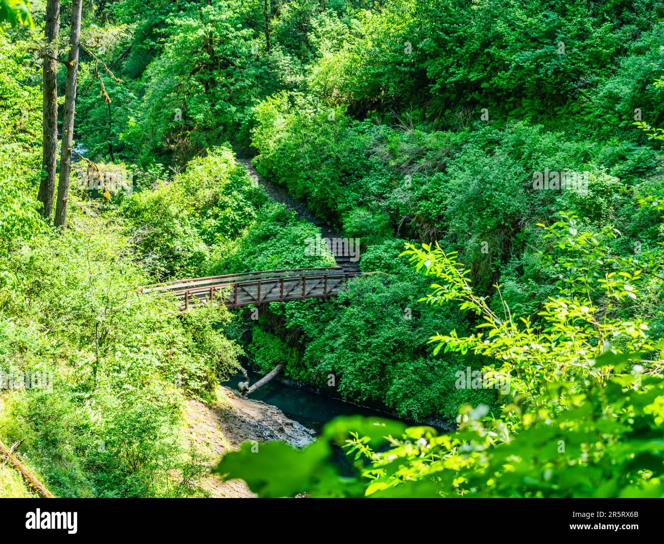 A walking bridge along the Canyon Trail at Silver Falls State Park in ...