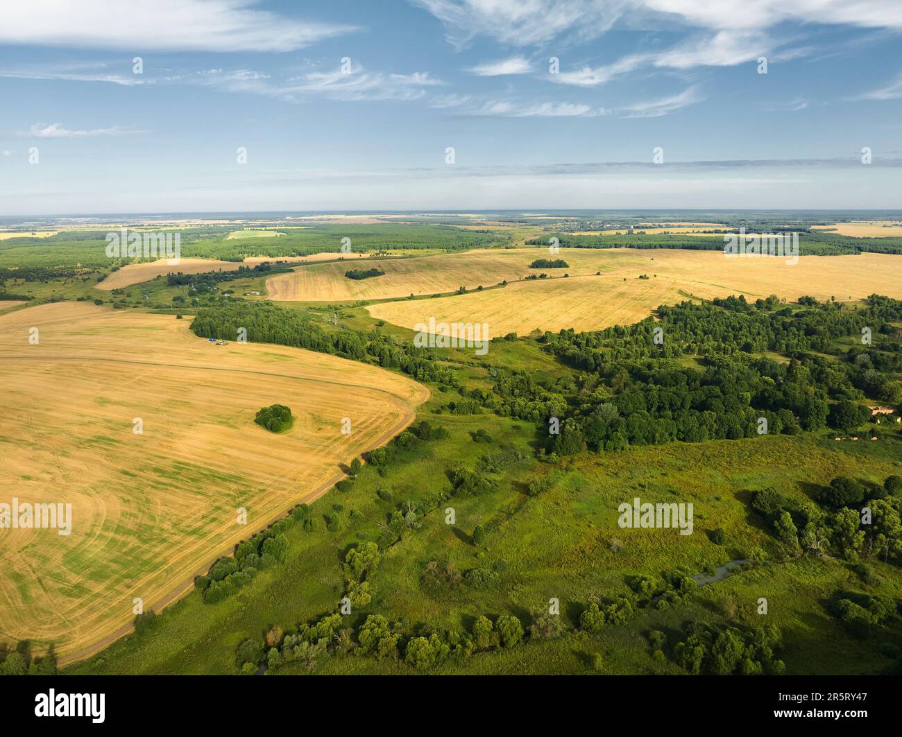 Big plantations of field of wheat and green forest plots Stock Photo ...