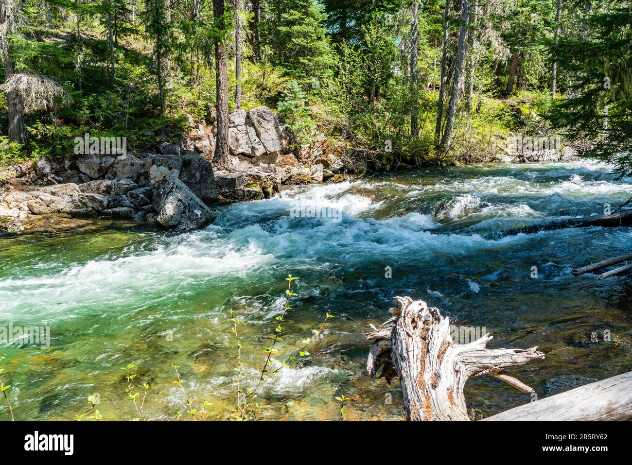 A view of a crystal clear creek along the Chinook Pass in Washington ...