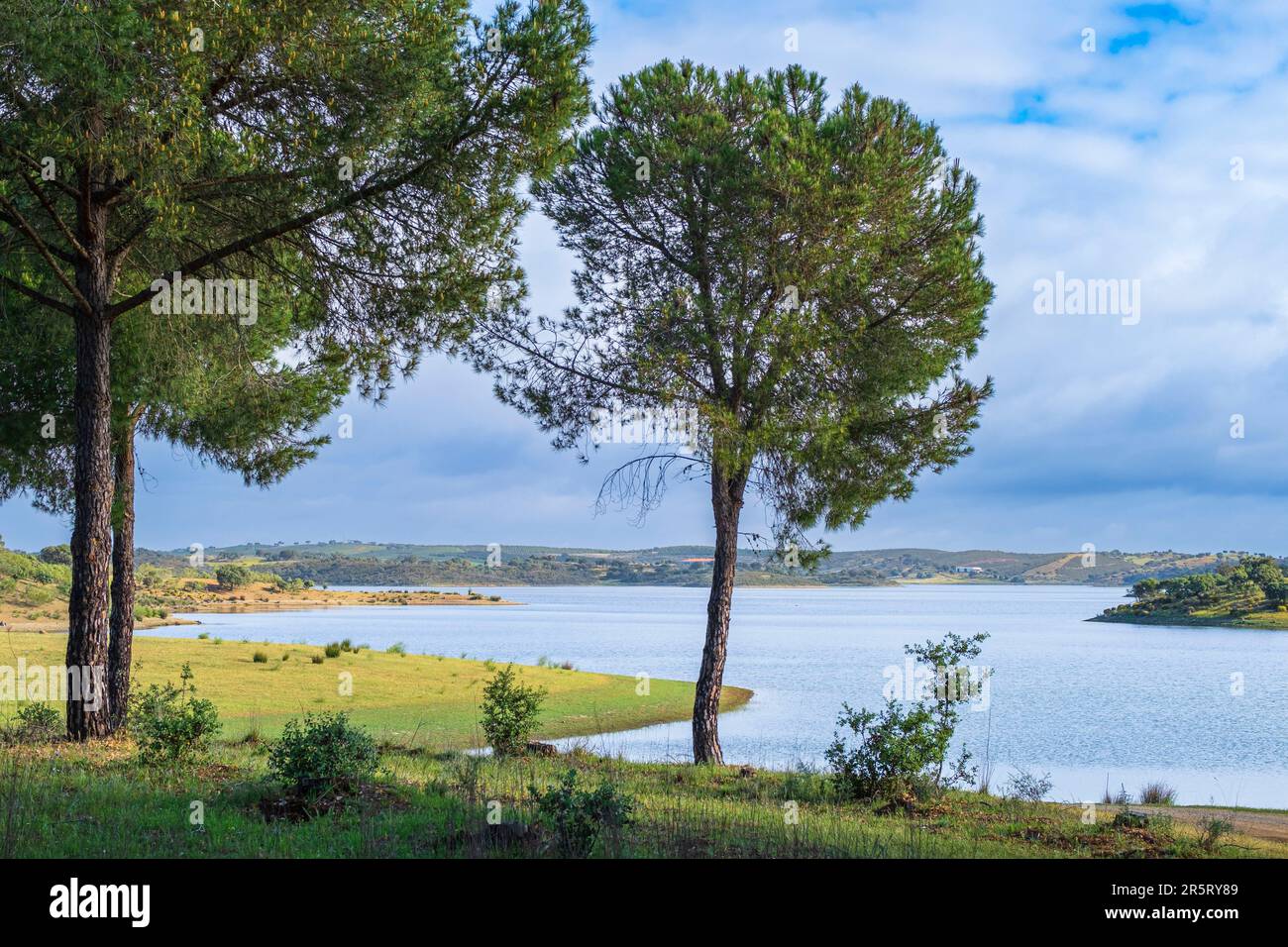 Portugal, Alentejo region, Alqueva, the shores of the Alqueva dam lake ...