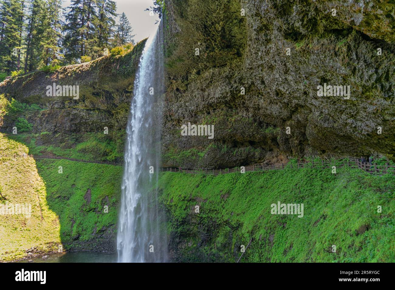 A complete view of South Falls at Silver Falls State Park in Oregon ...