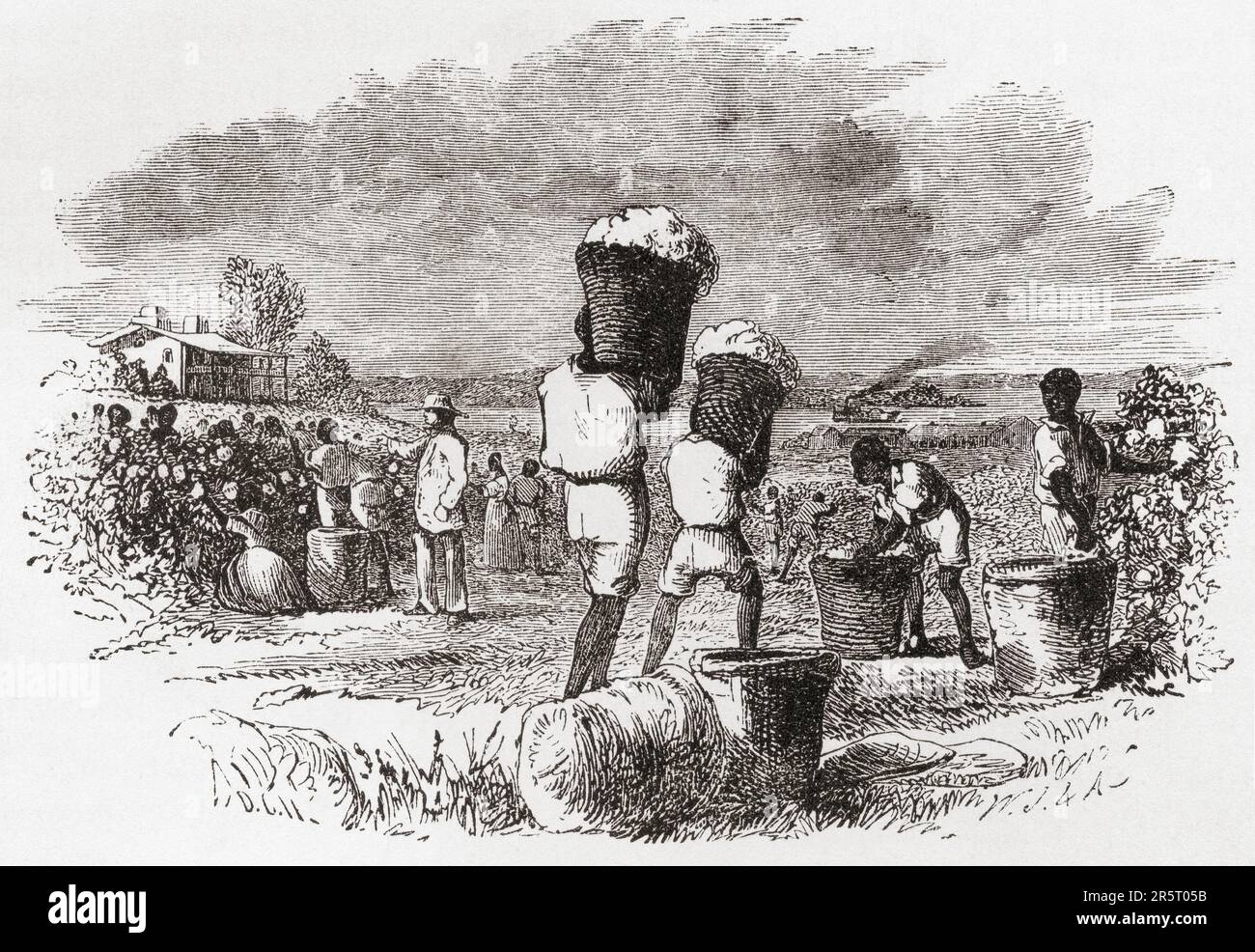 Slavery america 19th century hi-res stock photography and images - Alamy