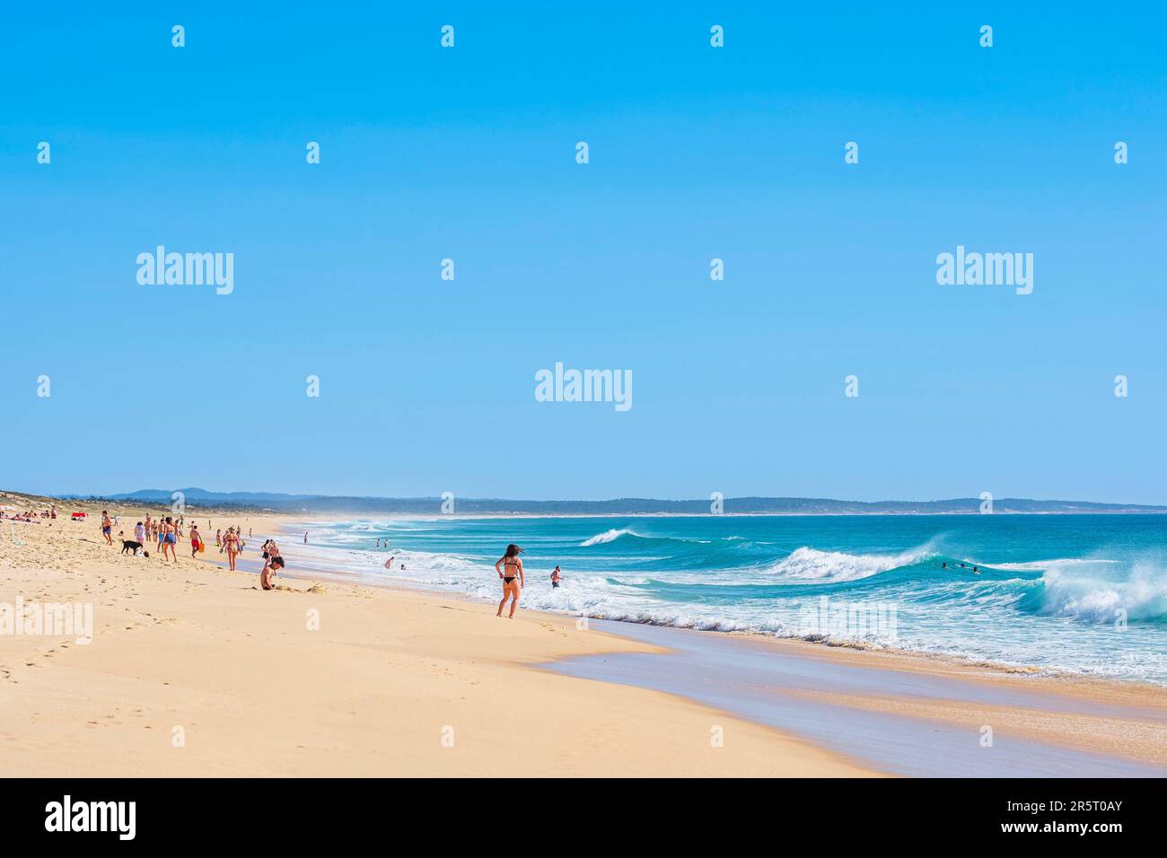 Portugal, Alentejo region, Comporta, Comporta beach Stock Photo - Alamy