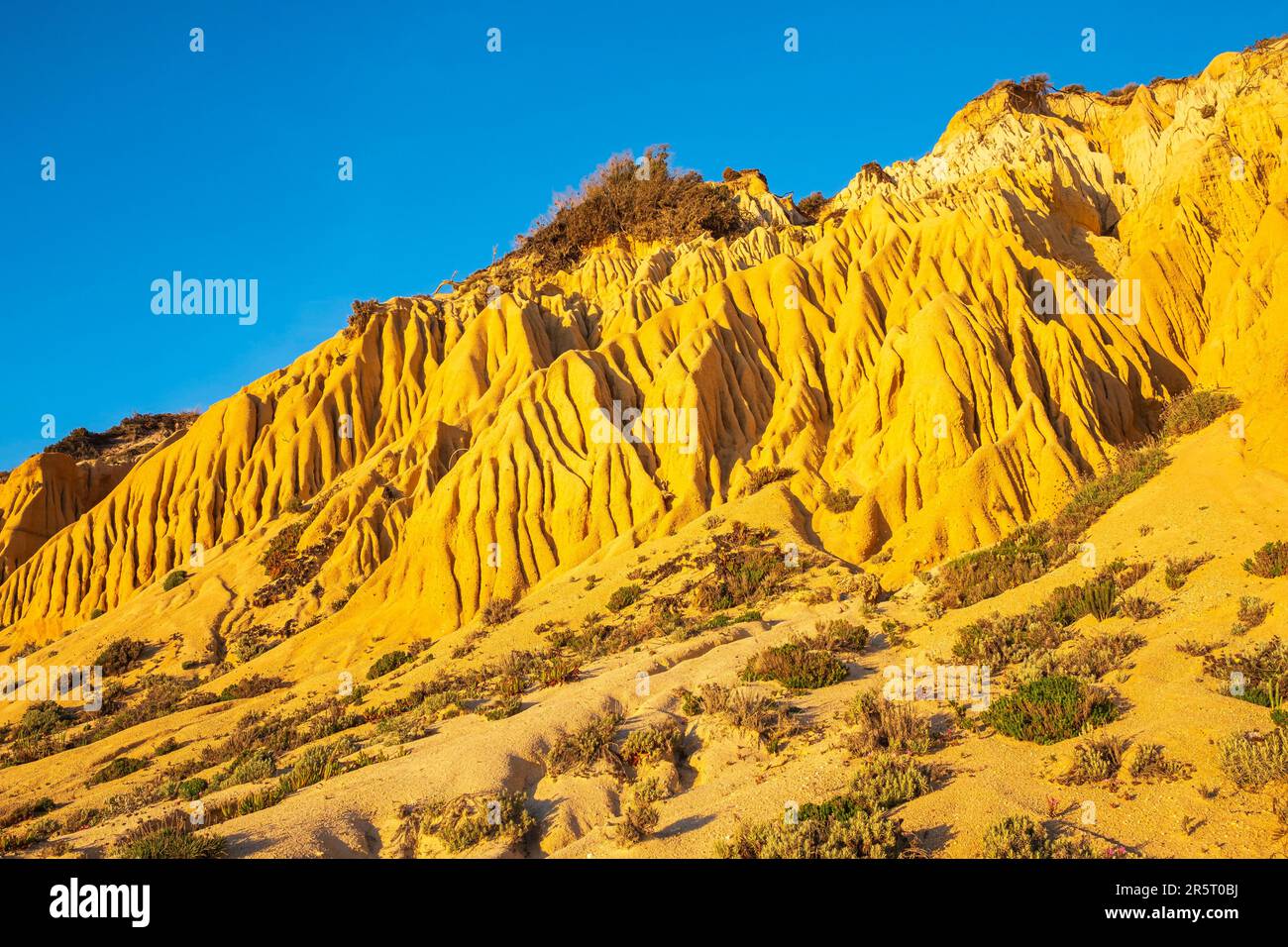 Portugal, Alentejo region, Melides, ochre cliffs overlooking Galé ...