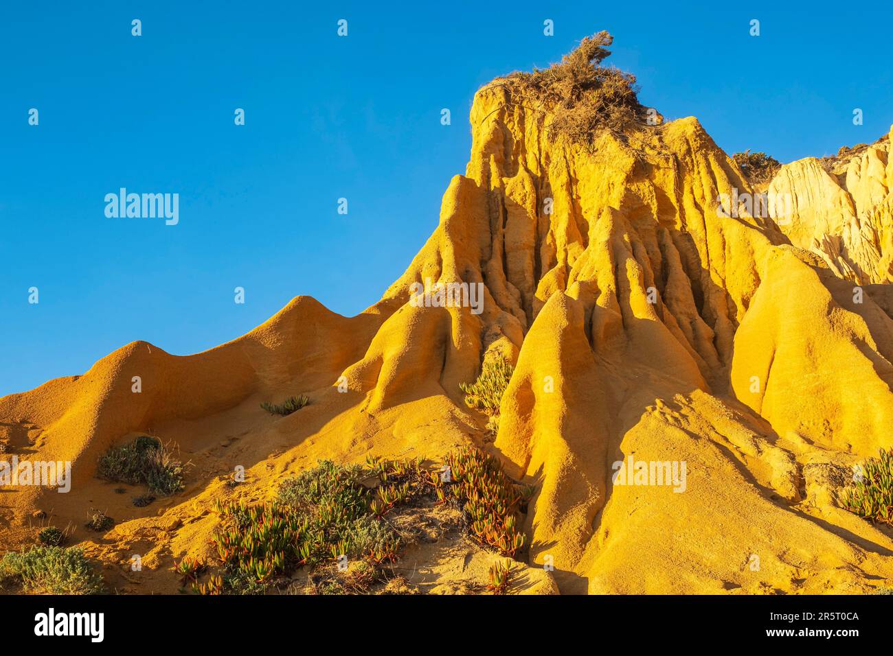 Portugal, Alentejo region, Melides, ochre cliffs overlooking Galé ...