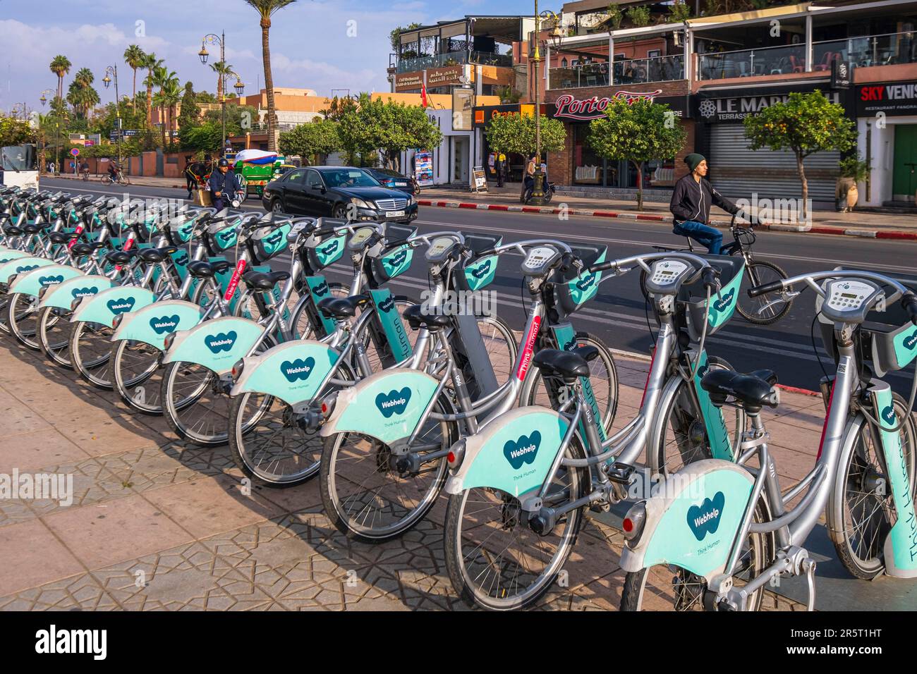 Morocco, Marrakesh, imperial city, the medina (UNESCO World Heritage Site), Webhelp Morocco ...