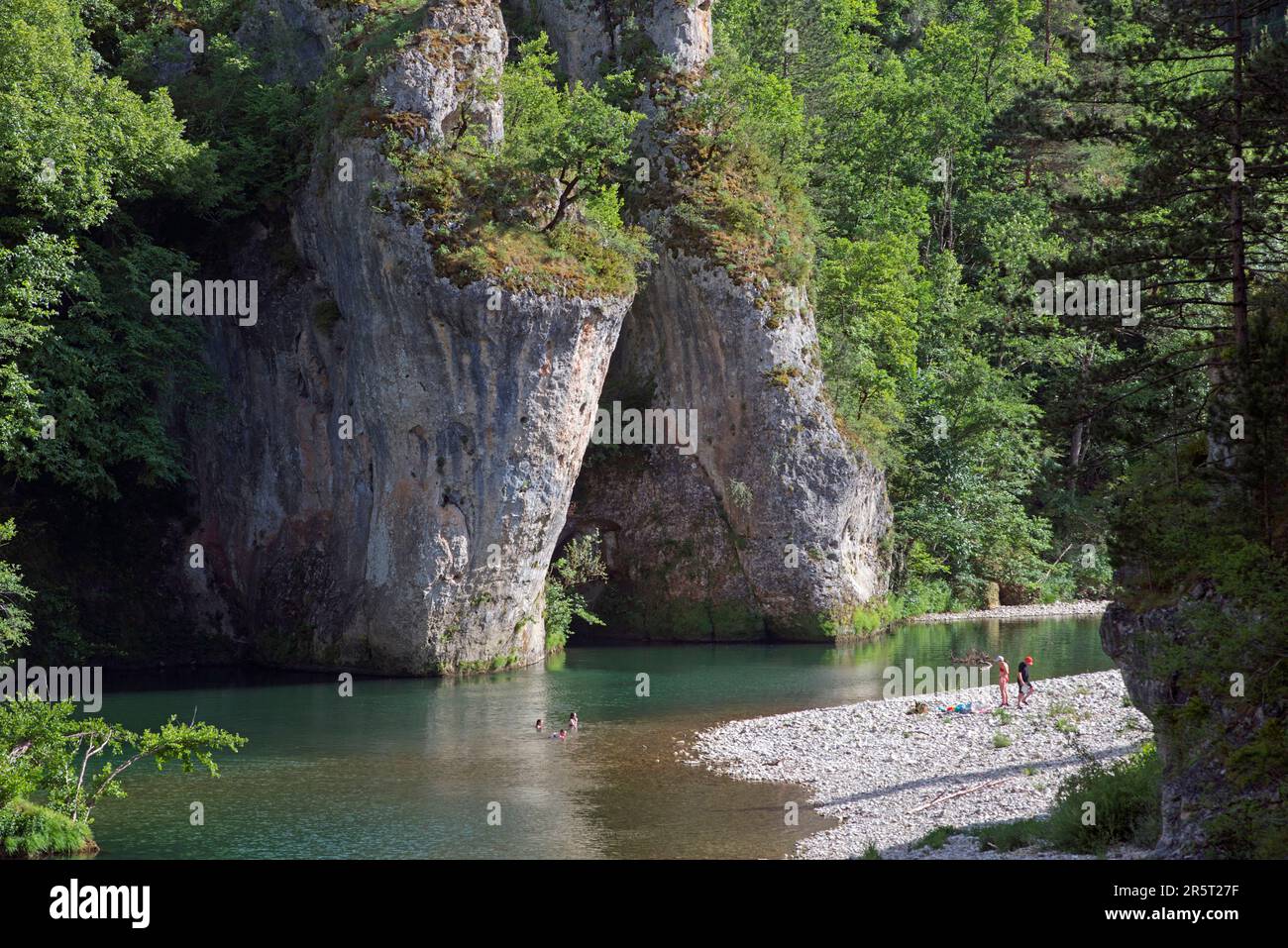 France, Lozere, tarn gorges, tarn river, cayon Stock Photo - Alamy