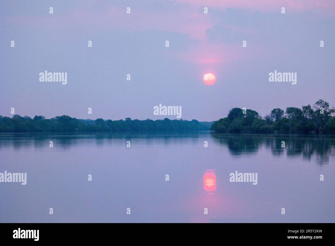 Zambia, Kafue natioinal Park, Trees along the river, at sunset Stock ...