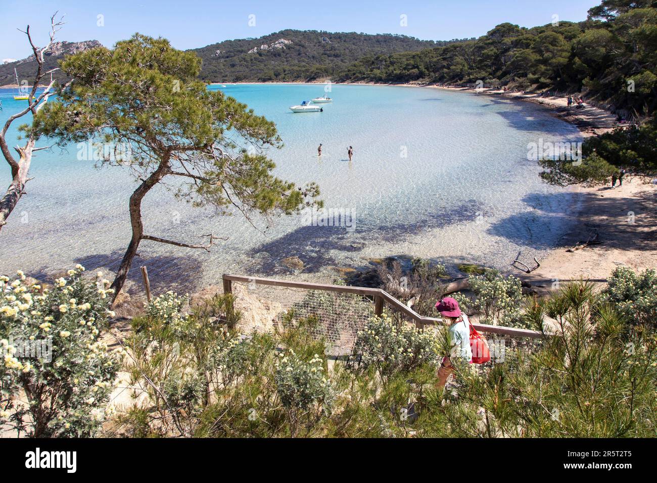 France, Var, Iles d'Hyeres, national park of Port-Cros, Island of ...
