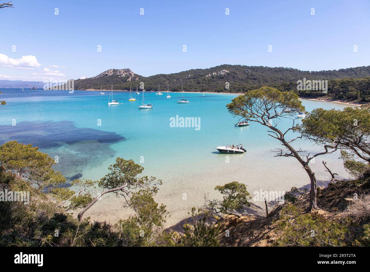France, Var, Iles d'Hyeres, national park of Port-Cros, Island of ...