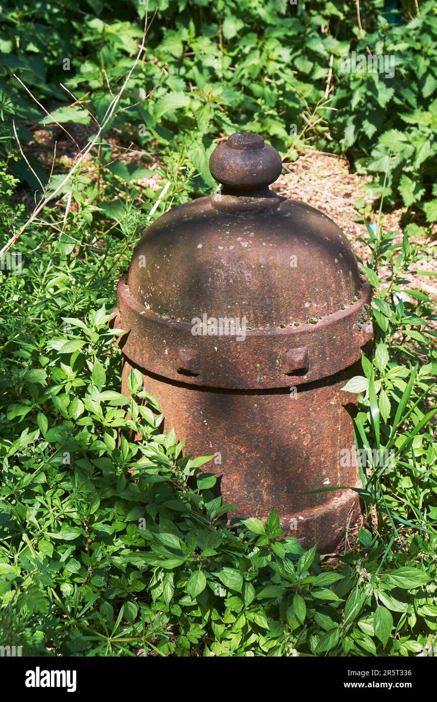 France, Paris, National Museum of Natural History, Buffon Poliveau ...