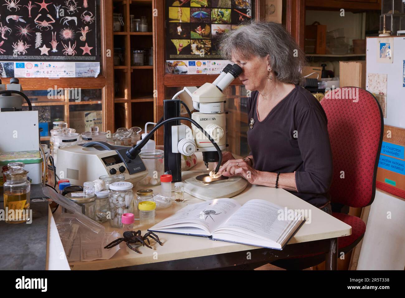 France, Paris, National Museum of Natural History, Laboratory of ...