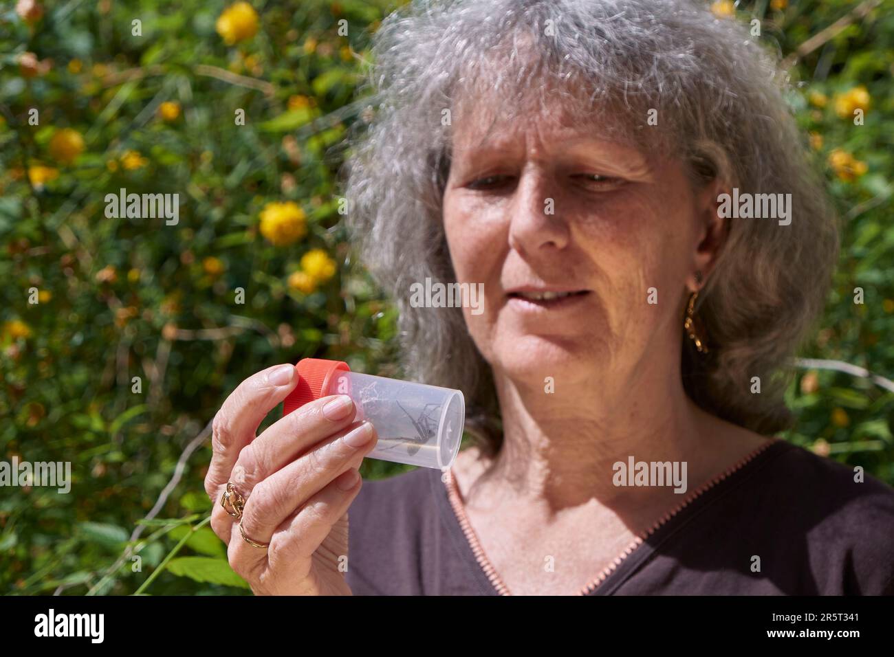 France, Paris, National Museum of Natural History, Laboratory of ...