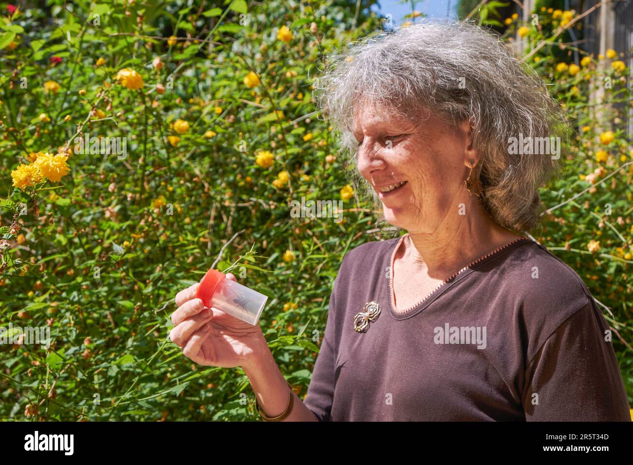 France, Paris, National Museum of Natural History, Laboratory of ...