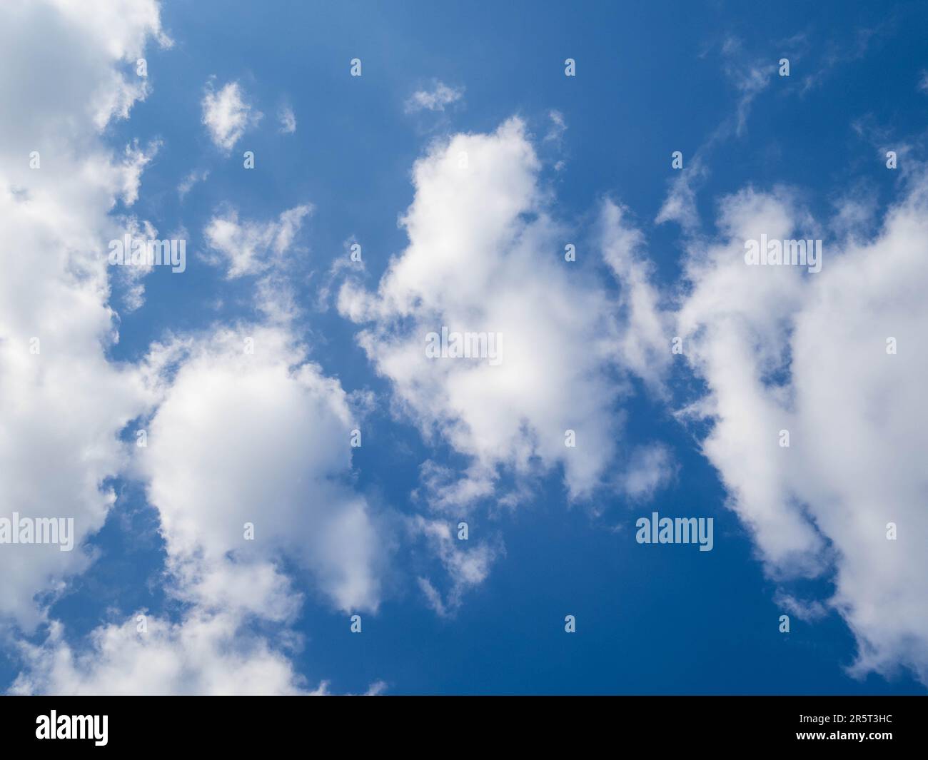 Dreaming of Blue Sky and White Clouds, Skyscape, Caversham, Reading ...