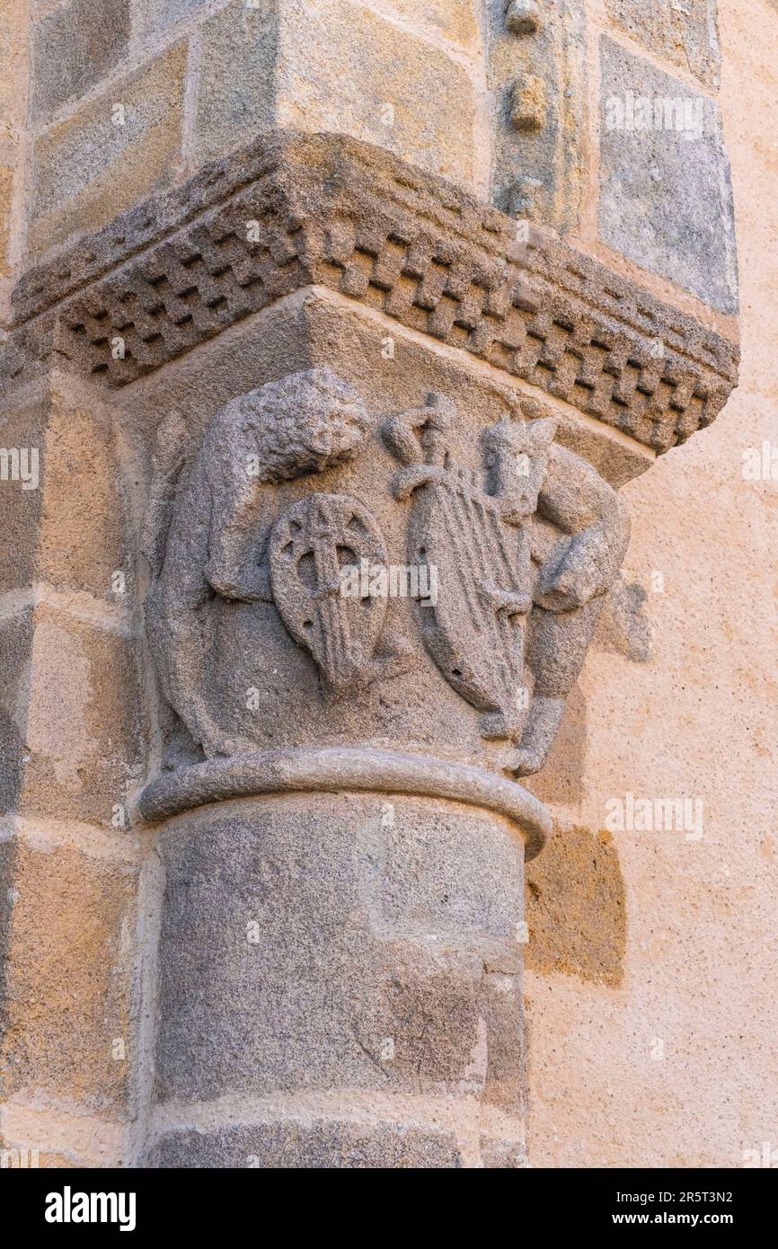 Donkey plays hi-res stock photography and images - Alamy