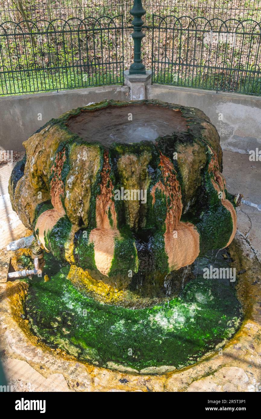 France, Allier, Vichy, Abrest, source of the Dome whose waters are used ...