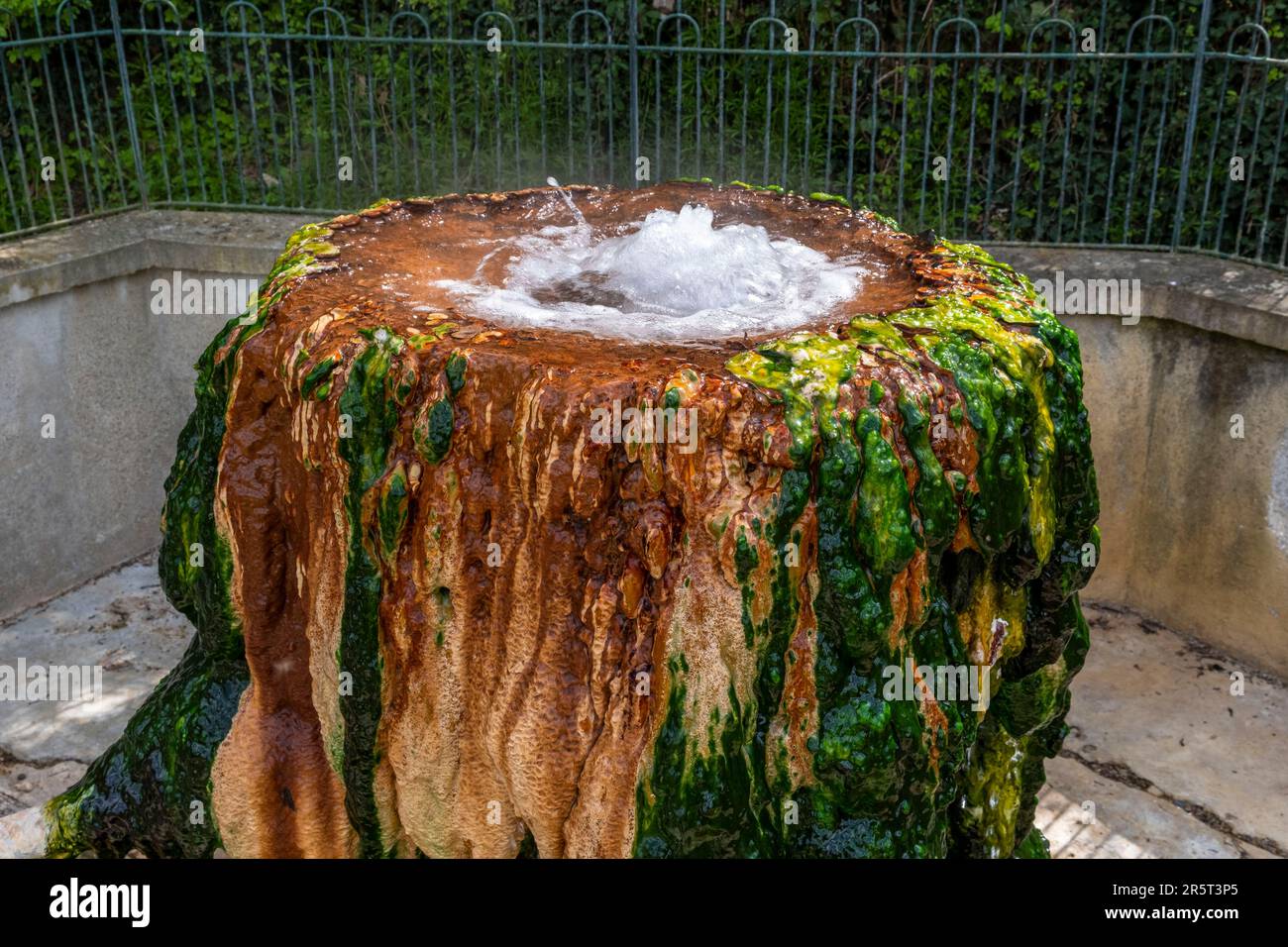 France, Allier, Vichy, Abrest, source of the Lys whose waters are used to make the mud used in ...