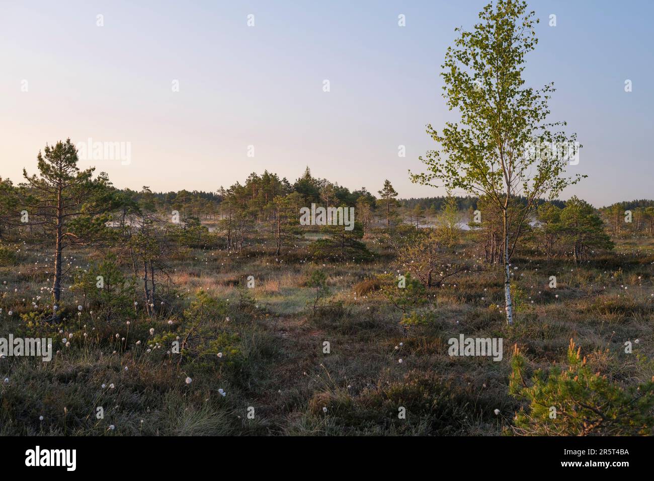 Wet landscapes hi-res stock photography and images - Alamy