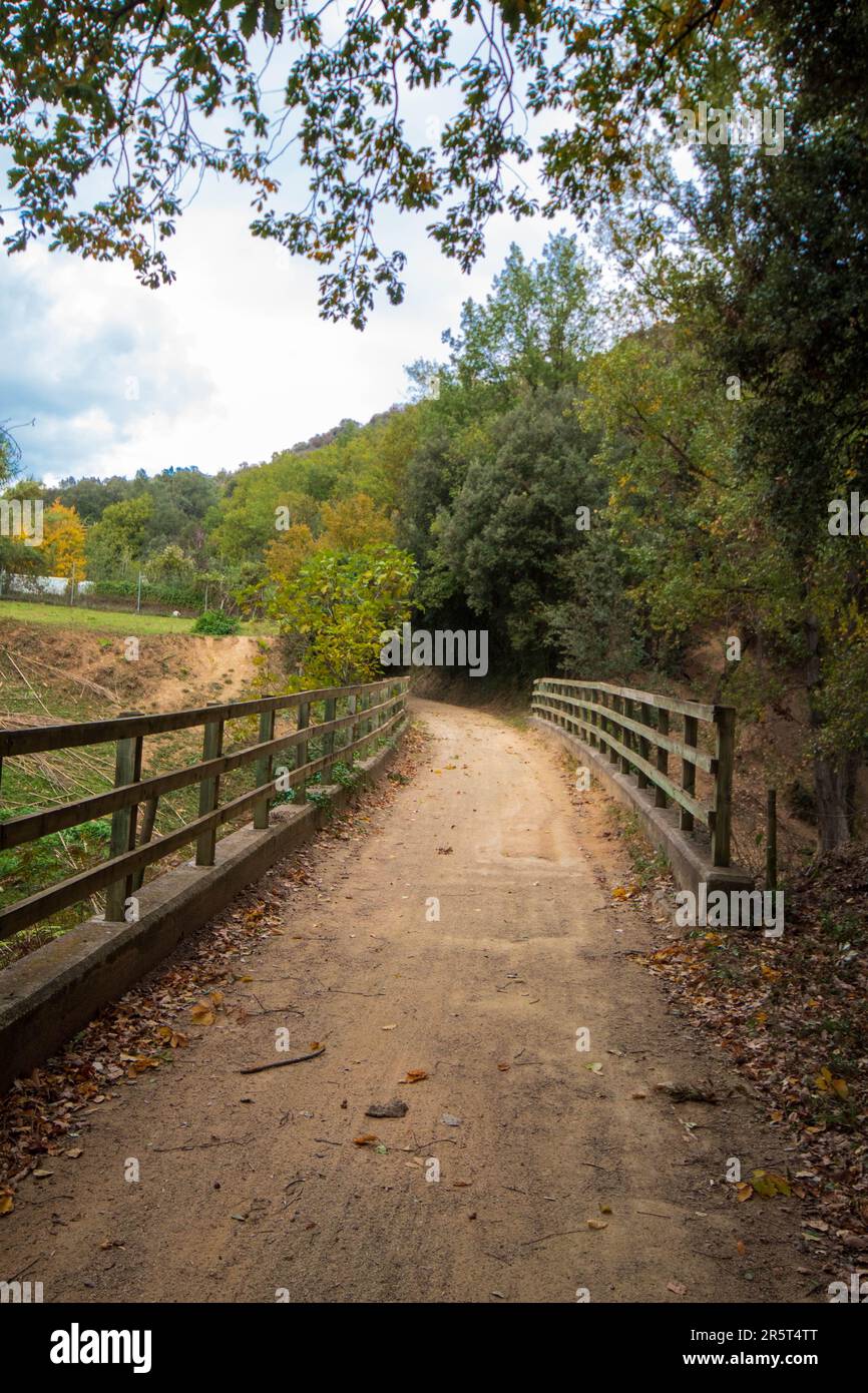 A wooden bridge stretches across a picturesque pathway, leading to an ...