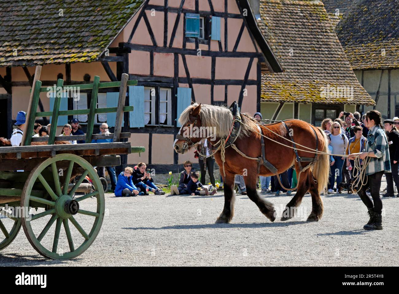France, Haut Rhin, Ungersheim, Ecomusee d Alsace, animation, animal ...