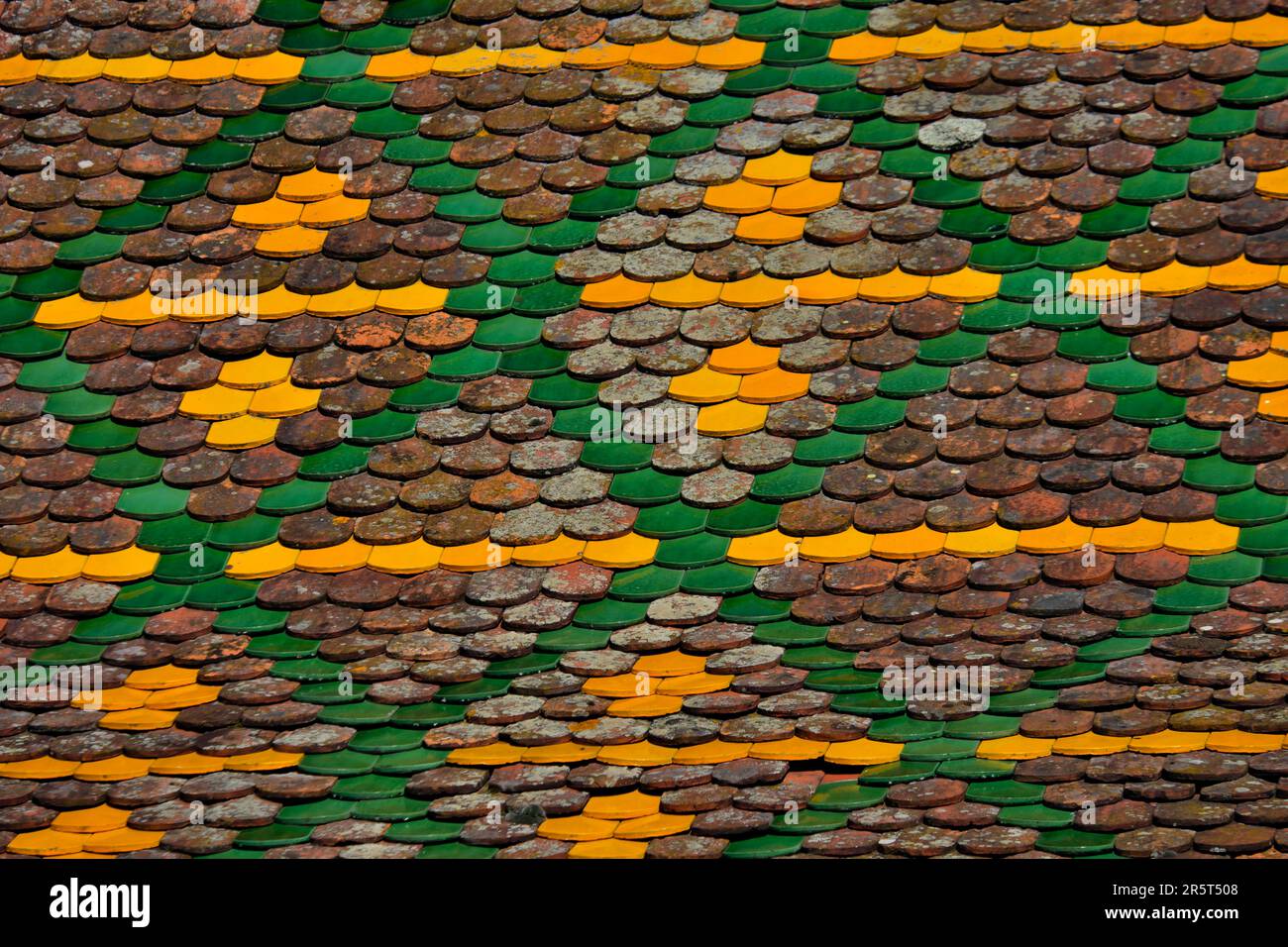 Beaver tail tiles hi-res stock photography and images - Alamy
