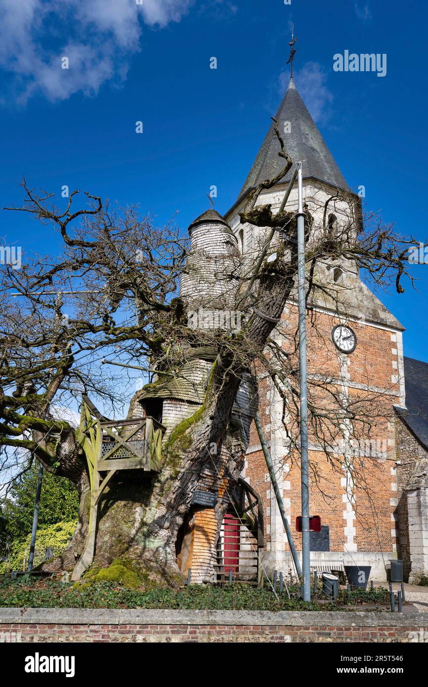 France, Haute Normandie, Seine Maritime, Allouville Bellefosse, the ...