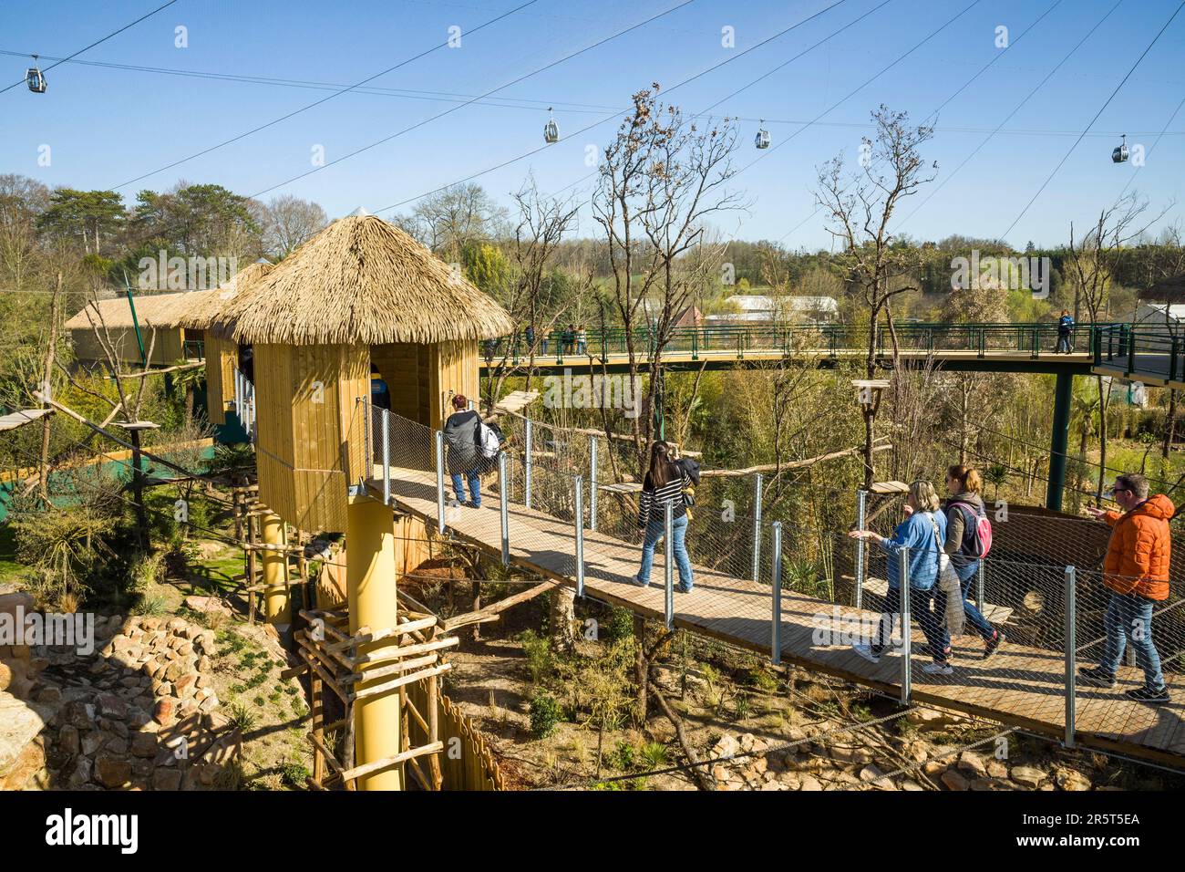monkey bridge in the Great South American Aviary with an area of 1.6 ha ...