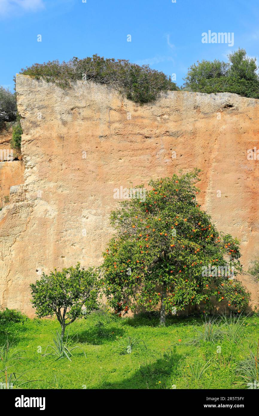 Spain, Balearic Islands, Menorca, Ciutadella, Lithica (Pedreres de s ...