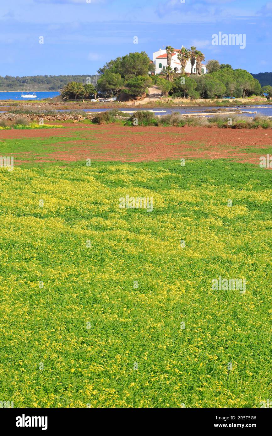 Spain, Balearic Islands, Menorca, Fornells, Redona Beach, waterfront ...