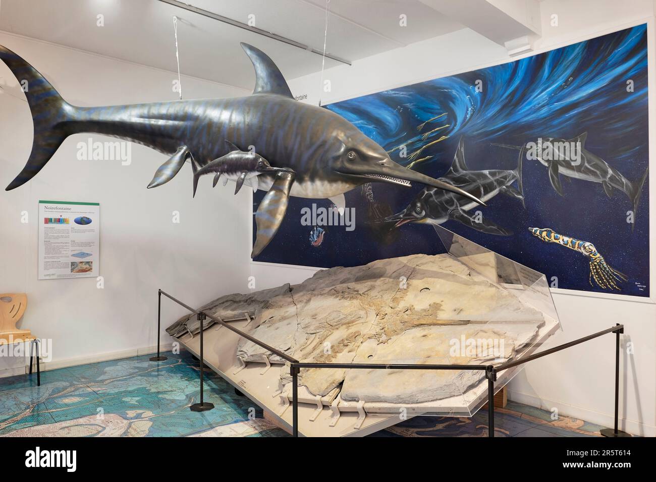 France, Doubs, Montbeliard, Castle Museum, Castle of the Dukes of ...