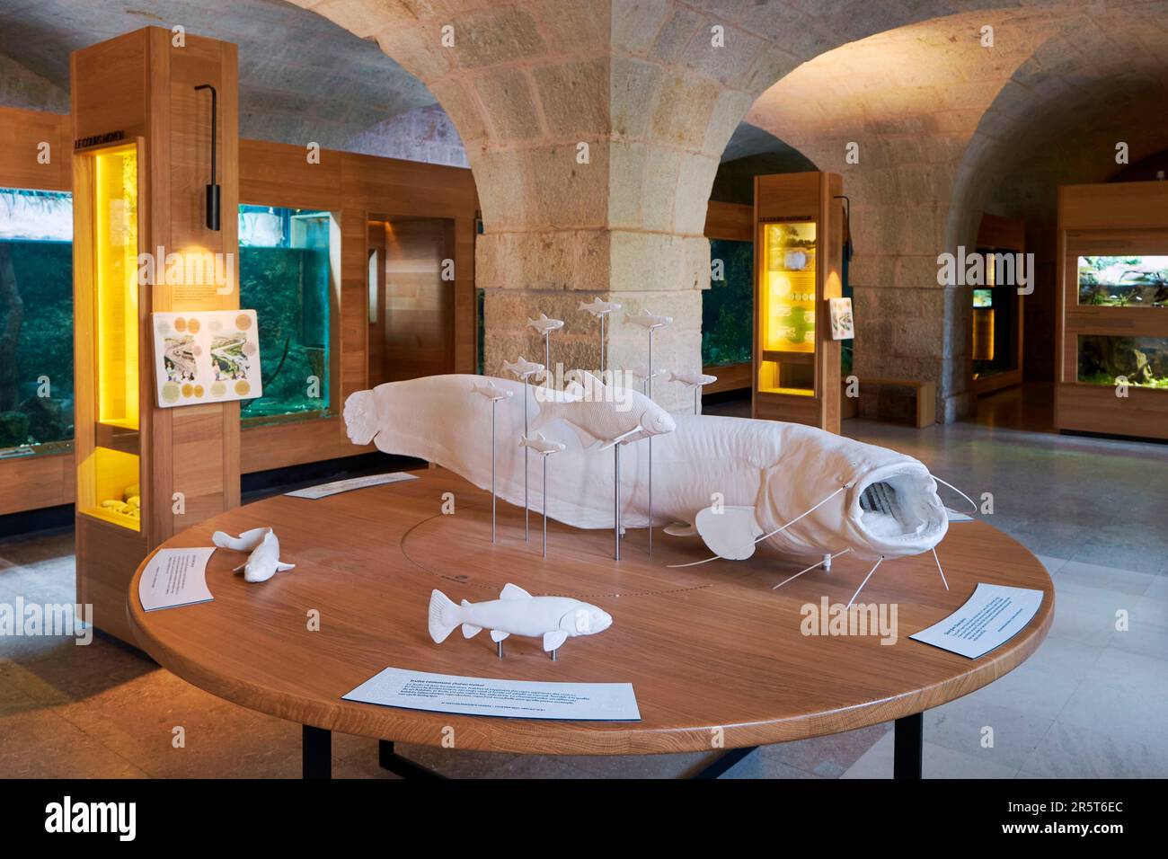 France, Doubs, Besancon, Vauban citadel, Unesco world heritage, Natural ...