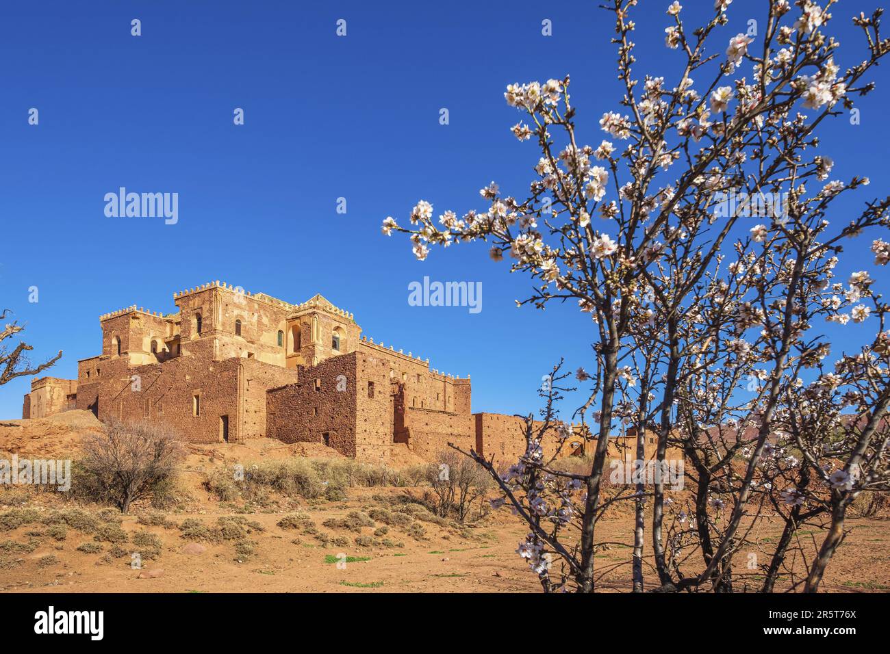 Morocco, Telouet, Kasbah of Telouet or the Glaoui Palace Stock Photo ...