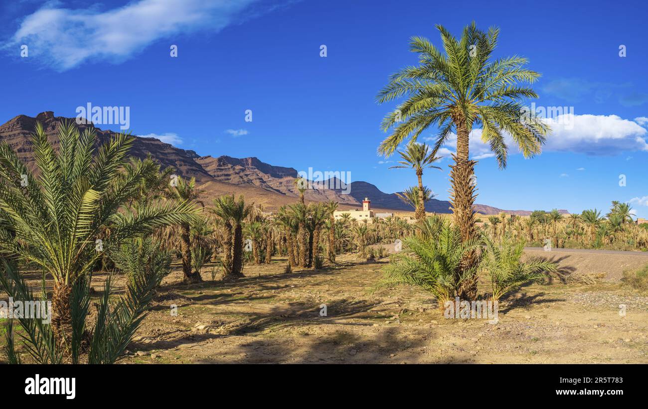Morocco, province of Tata, village of Lamhamid at the foot of Djebel ...