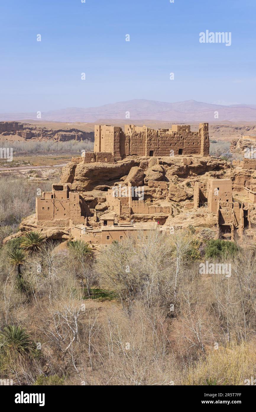 Morocco, Roses Valley, surroundings of El Kelaâ M'Gouna, Kasbah Mirna ...