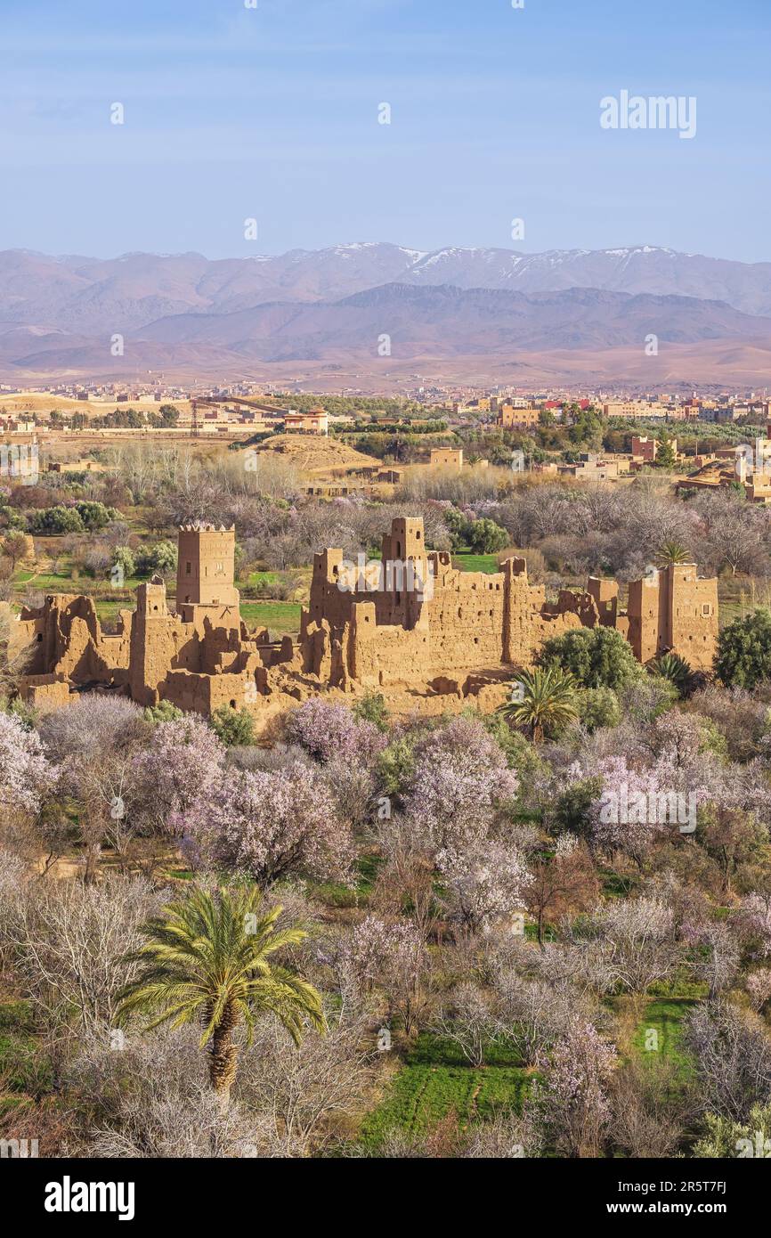 Morocco, Roses Valley, surroundings of El Kelaâ M'Gouna, kasbah in ...
