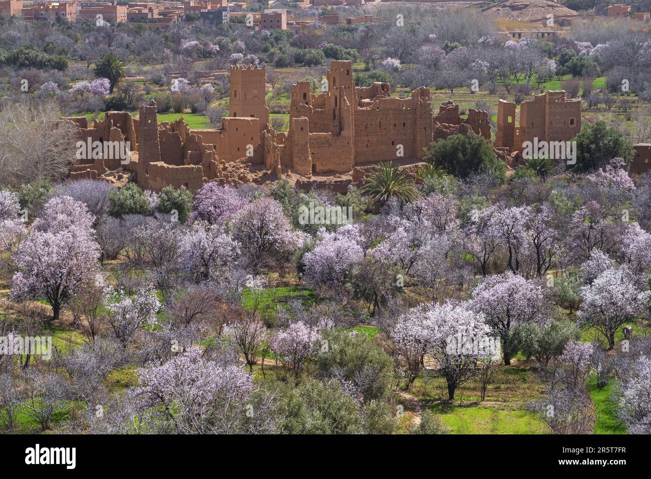 Morocco, Roses Valley, surroundings of El Kelaâ M'Gouna, kasbah in ...
