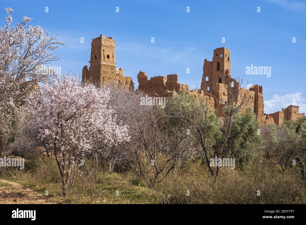 Morocco, Roses Valley, surroundings of El Kelaâ M'Gouna, kasbah in ...